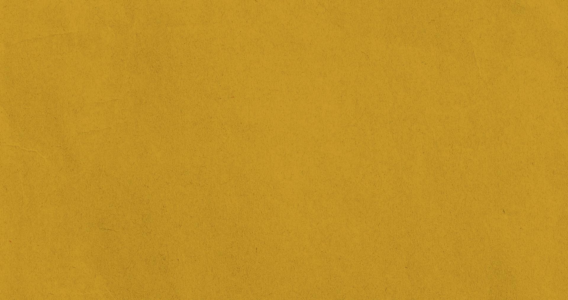 Nevada State University Athletics